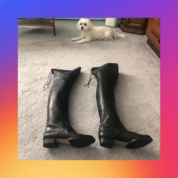 Escada | Shoes | Designer Escada Thigh High Over The Knee Fleur De Lis ...